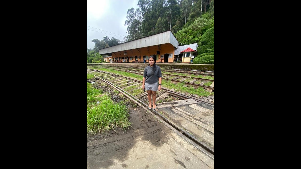 Horton place (හොර්ටන් තැන්න) Roadrunner - YouTube