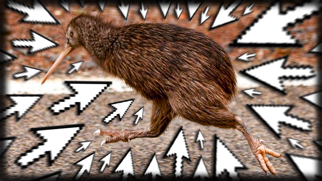 Clicando em KIWIS Para Gerar KIWIS para KIWIS Venderem - Jogando Kiwi Clicker - YouTube