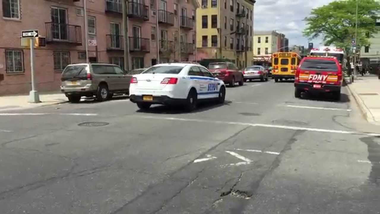 BRAND NEW NYPD POLICE INTERCEPTOR SLICK TOP CRUISING BY ON TROY AVE. IN ...