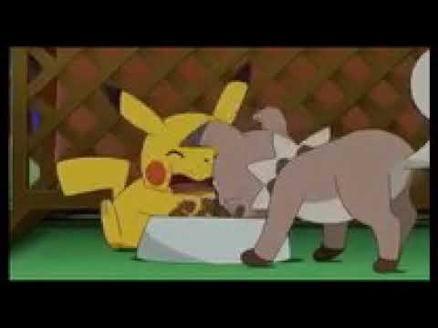 Pikachu and Rockruff's hot bellies from eating