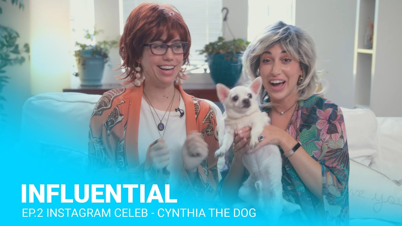Influential: Instagram Celebrity - Cynthia the Dog - YouTube