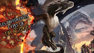 Les différents types de DRAGONS - GAME OF THRONES HOUSE OF THE DRAGON