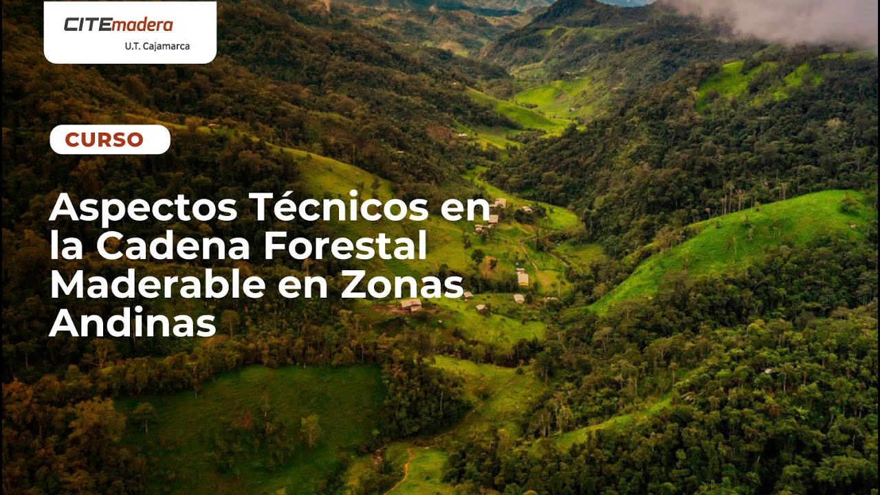 Clase 7 | Aspectos Técnicos en la Cadena Forestal Maderable en Zonas ...