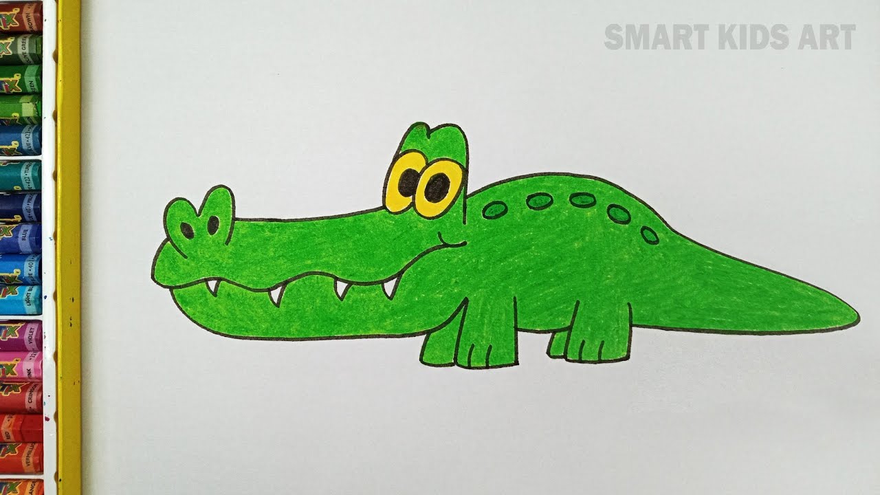 How to Draw Alligator | How to Draw an Alligator | How to Draw a ...