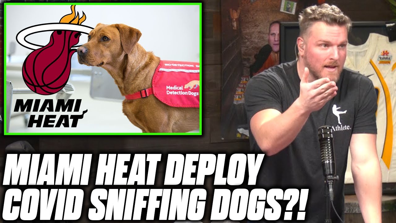 Pat McAfee Reacts To The Miami Heat's COVID Sniffing Dogs - YouTube