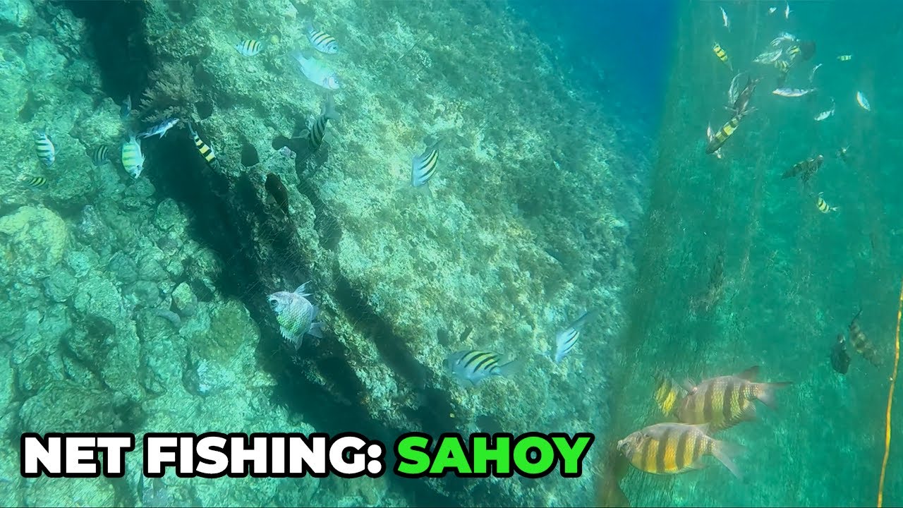 Maraming Isdang SAHOY ang aking nahuli, Salamat sa Blessings - YouTube