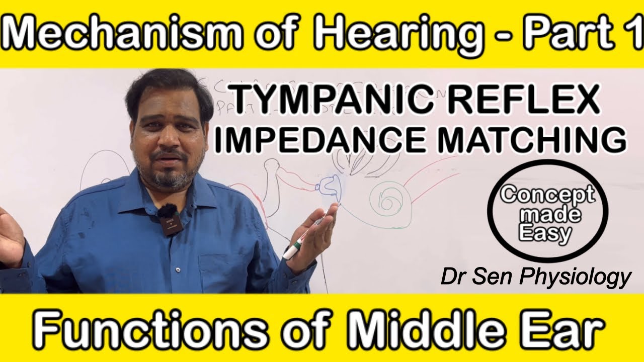 Mechanism of Hearing part 1-Functions of middle ear.Impedance matching ...