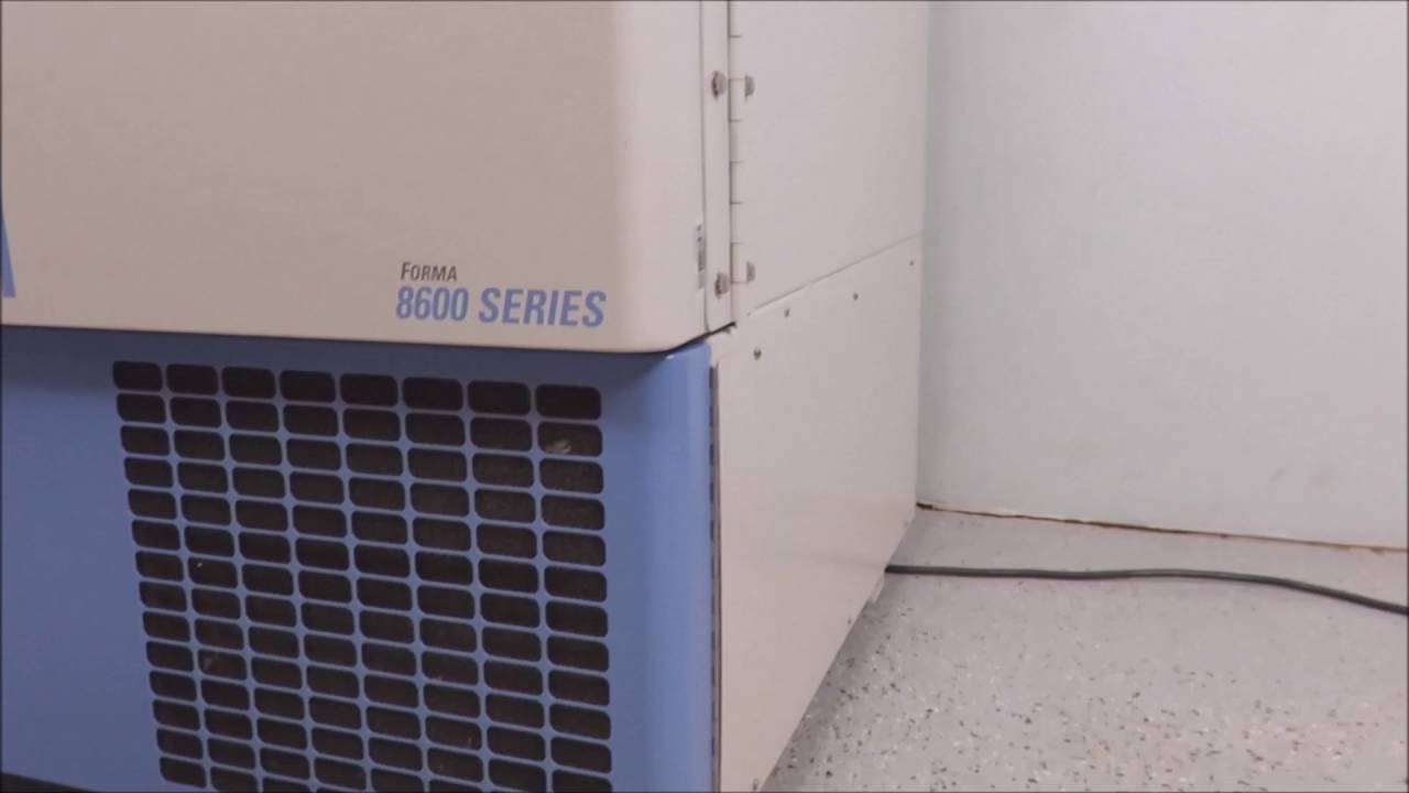 Thermo Forma 8600 Series 80 Freezer - YouTube