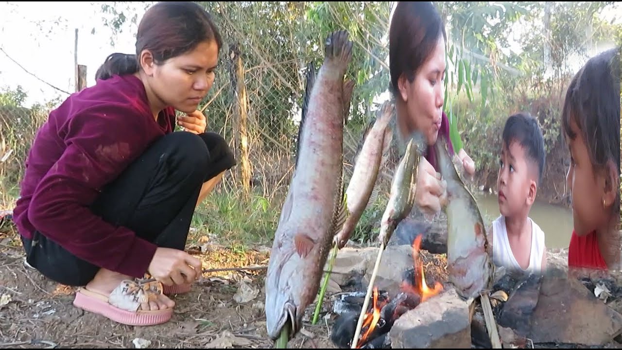 Today to catch grilled fish to eat with children Part21 - YouTube