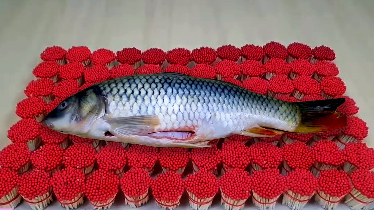 Fish Cooking on Matchsticks | Fun and science experiments - YouTube