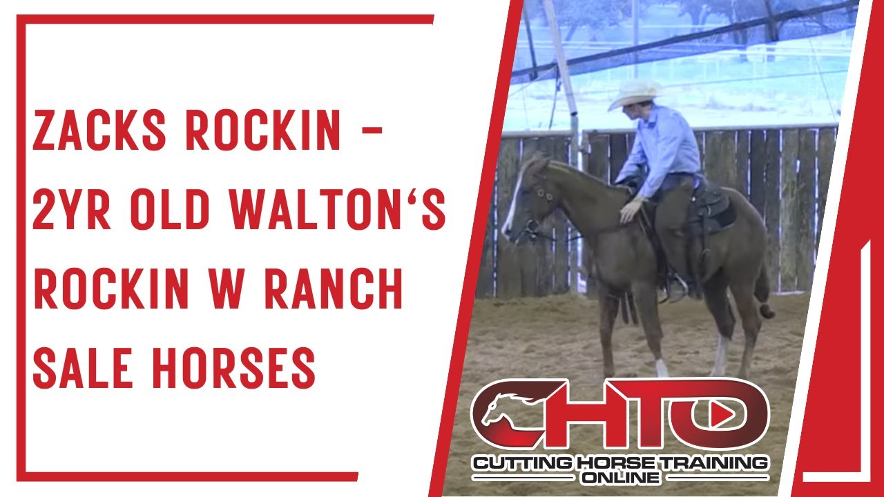 Zacks Rockin - 2yr Old Walton's Rockin W Ranch Sale Horses - YouTube