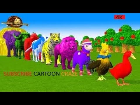 Paint Animals Elephant Tiger Lion Cow Gorilla Fountain crossing Animals ...