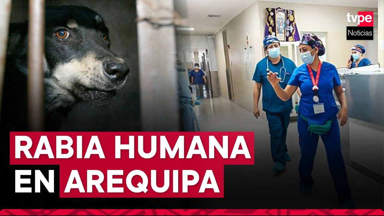 Ministerio de Salud confirma primer caso de rabia humana en Arequipa ...