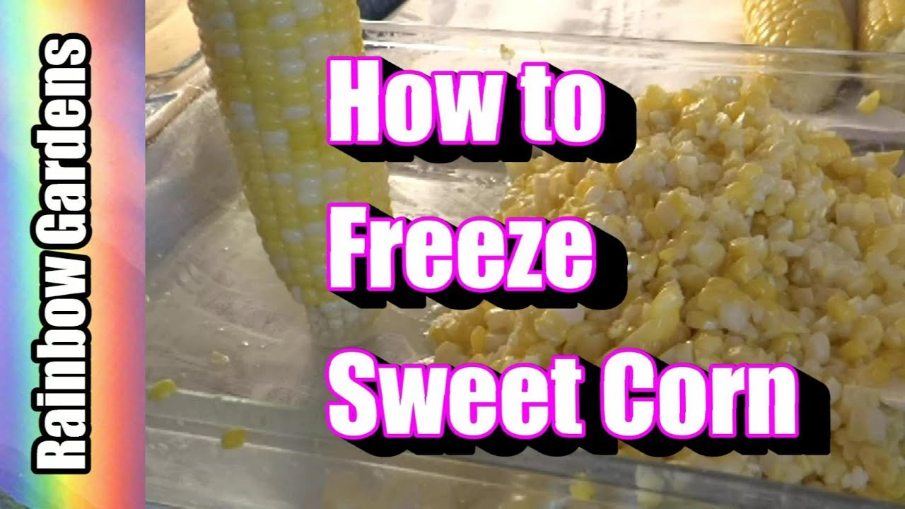 How to Freeze Sweet Corn - YouTube