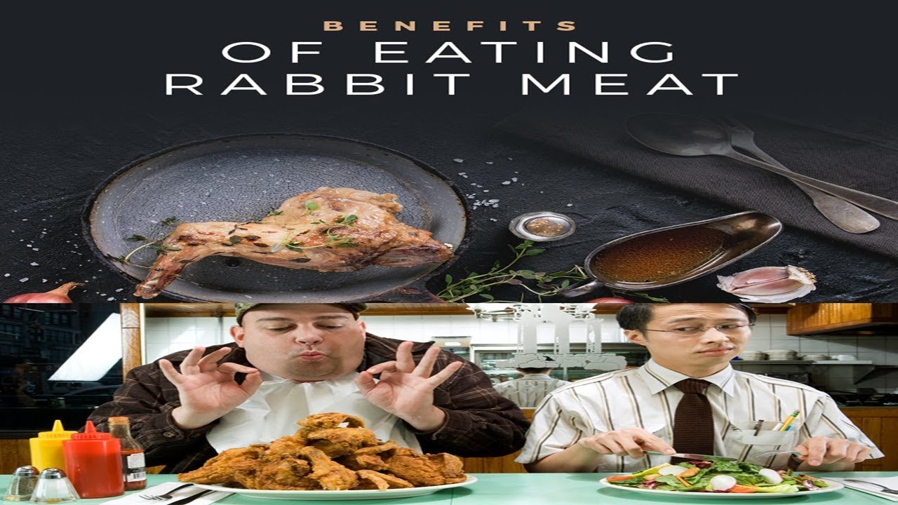 10 Reasons Why You Should Consume Rabbit Meat. - YouTube
