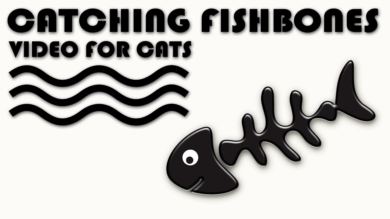 GAMES FOR CATS - Catching Fishbones! FISH VIDEO FOR CATS TO WATCH ...