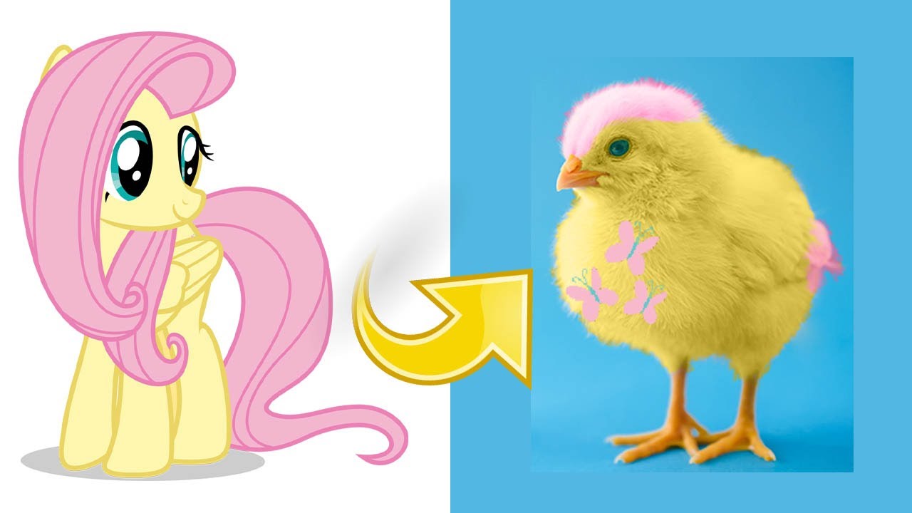 Fluttershy as Chicken MLP - YouTube