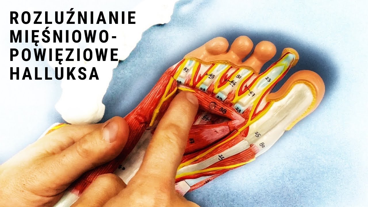 [#43] HALLUKS - rozluźnianie mięśniowo-powięziowe przywodziciela ...