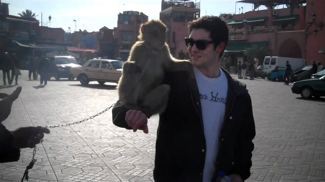 The Monkey with Evan - YouTube