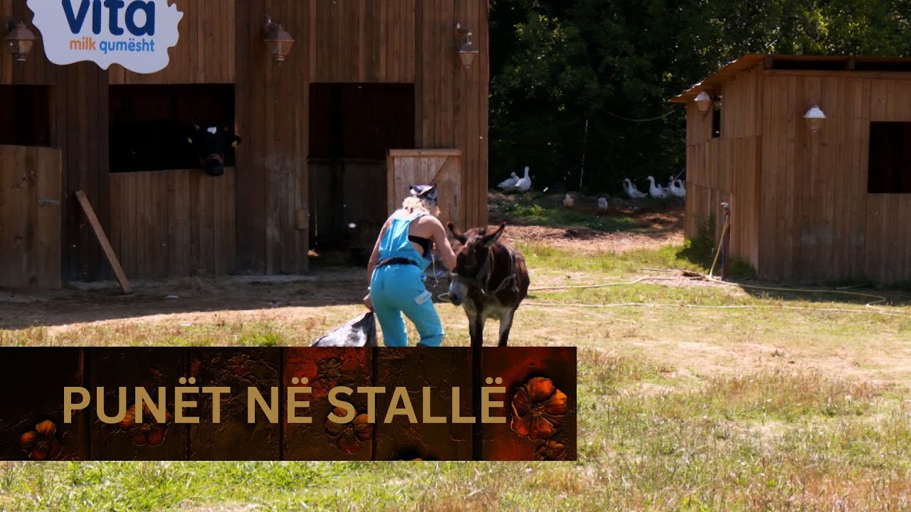 “Kënaquni dhe dhuroni humor”/Erandi dhe Elinara nisen drejt stallave ...