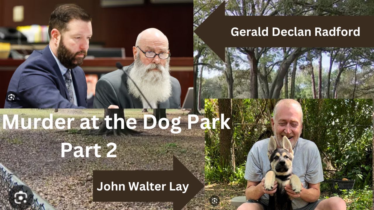 Murder at the Dog Park Trial: Fl v Gerald Declan Radford Part 2 plus ...
