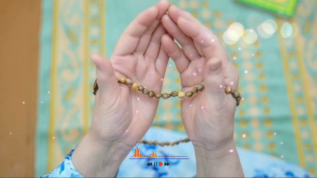 Dua| praying hands ️|No copyright video|Taqwa official|Dua hand footage ...
