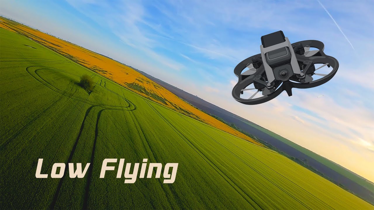 DJI Avata low flying over the fields - YouTube