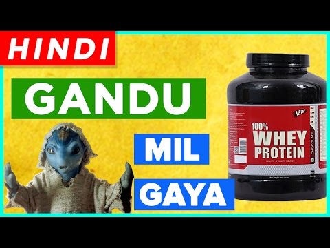 WHEY PROTEIN HINDI - Protein Powder Hindi Video India - Parshya Bhai