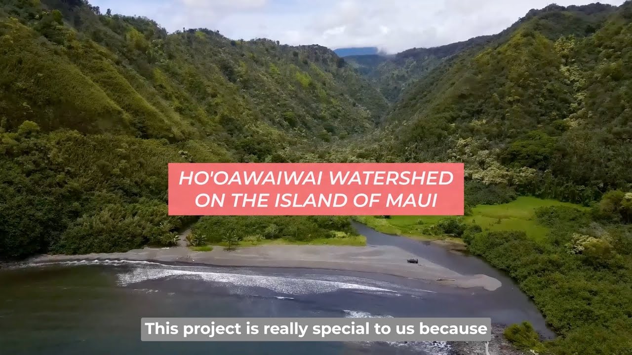 Beachly x SeaTrees | Earth Day | Beachly Spring Box 2023 - YouTube