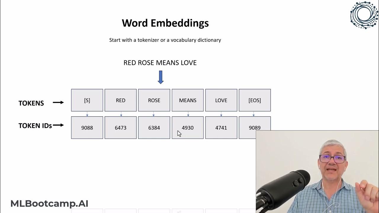 Transformer Layer by Layer - 03 - Input Embeddings - YouTube