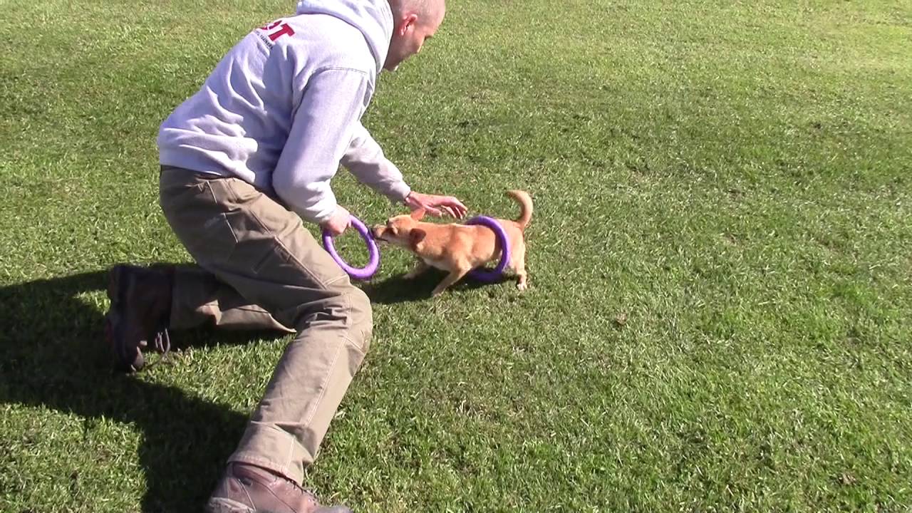 PULLER Fun With Nancy - YouTube