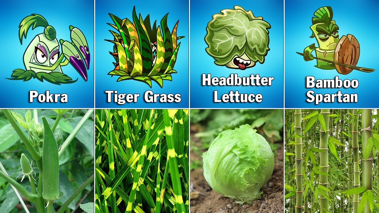 Plants Vs Zombies 2 Plants In Real Life! - YouTube