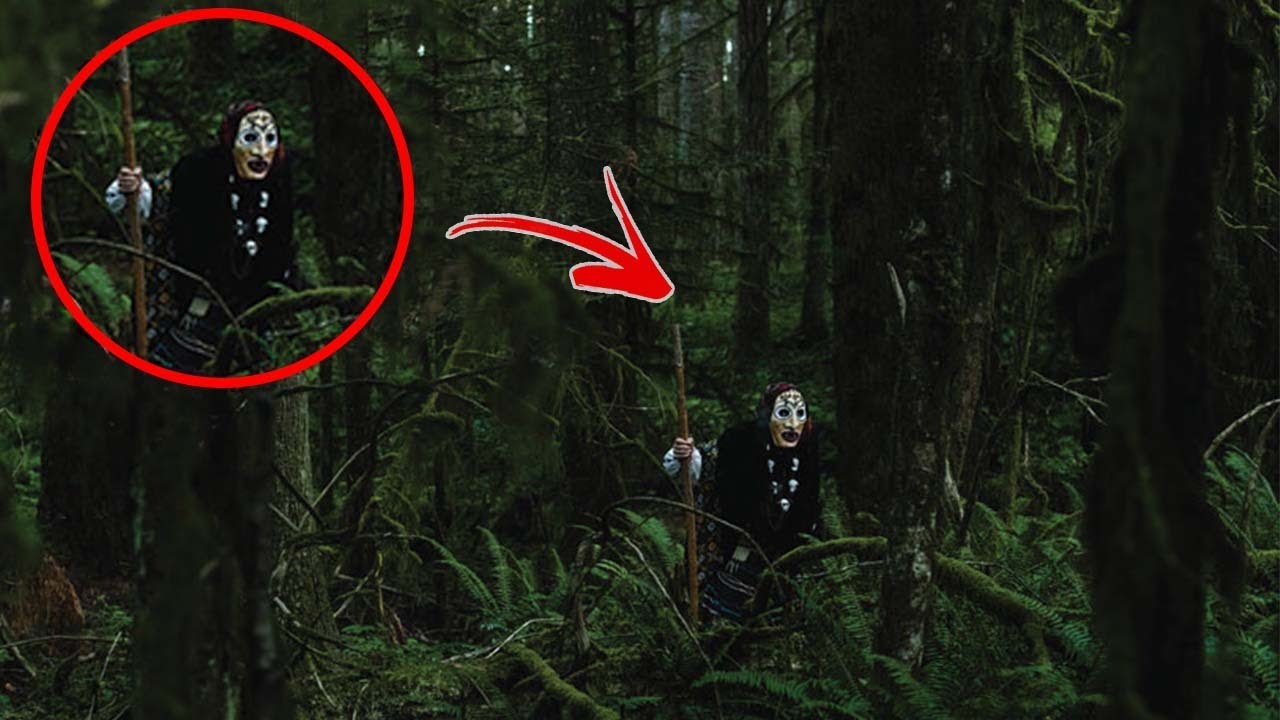 Scary Creatures In The Woods