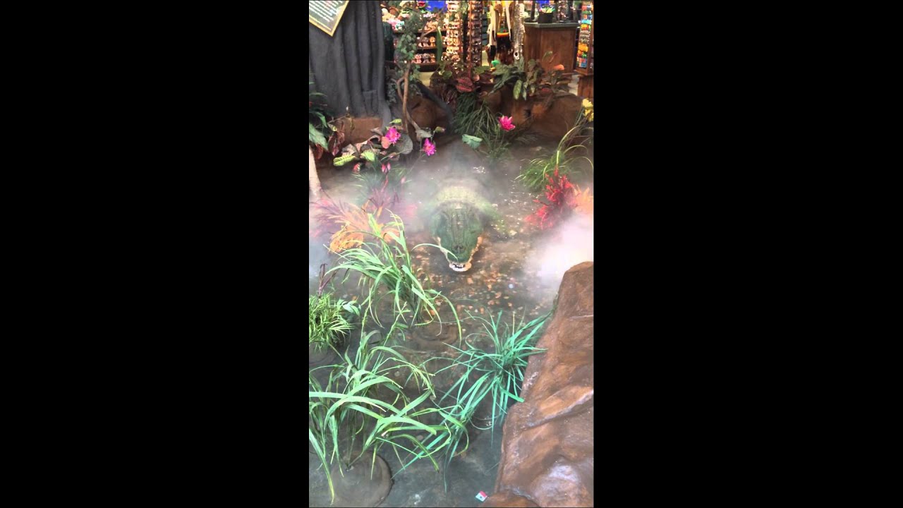Alligator, Rainforest Café, Phoenix, AZ - YouTube