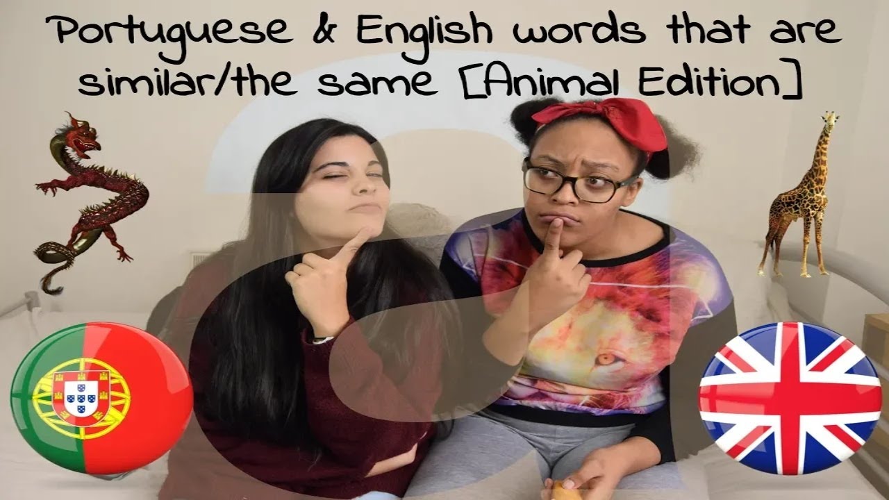 Portuguese & English words that are spoken/spelt similar/the same ...