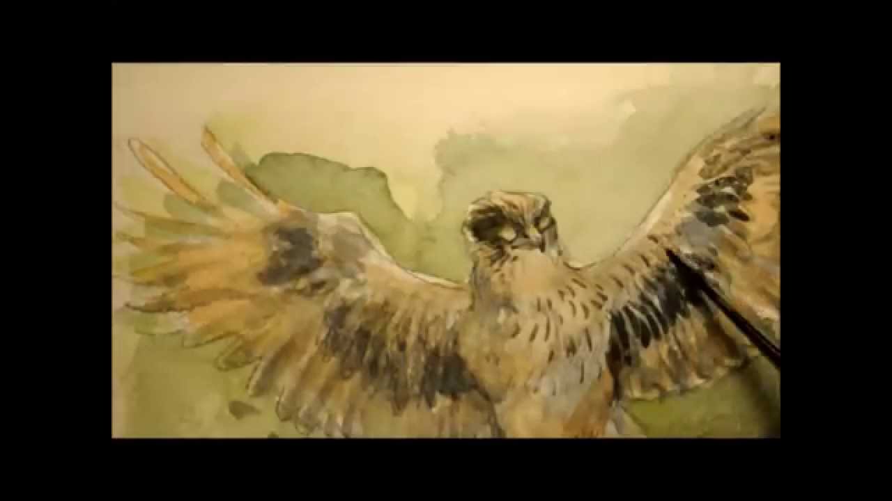 CROC'TUTO Dessiner un rapace - YouTube