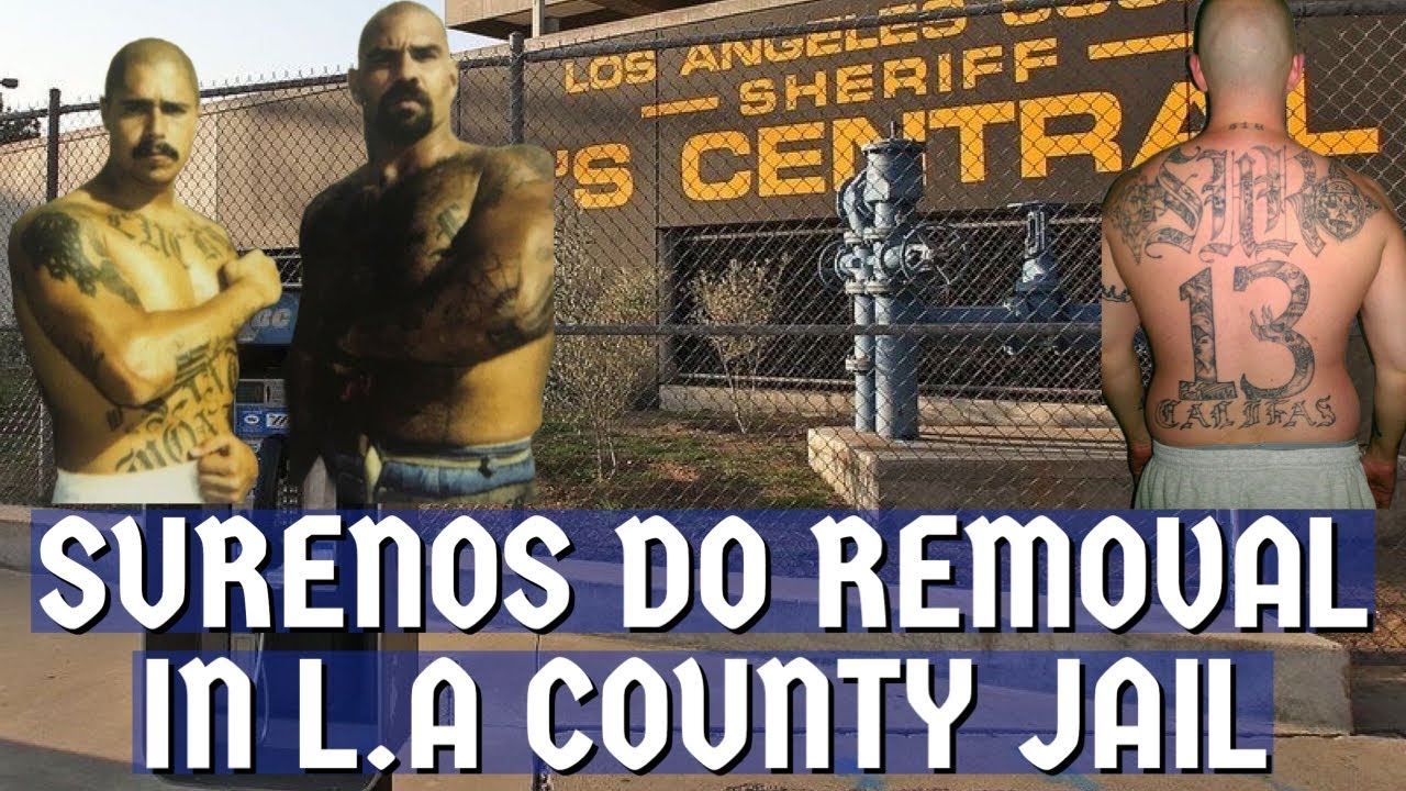 VIDEO OF SURENOS DOING A PEGADA IN COUNTY JAIL😳👀😵🗡️#new #viral # ...