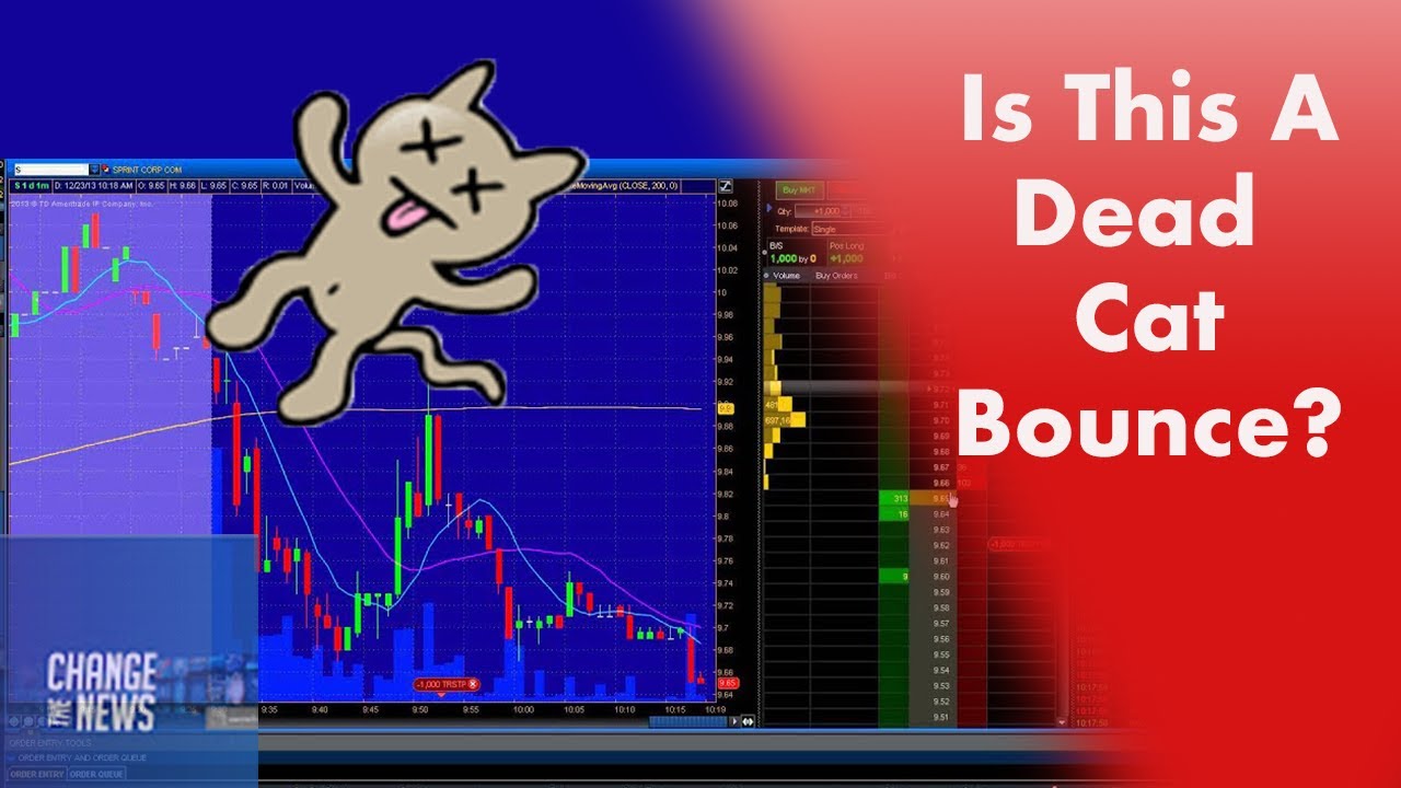 Stock Market Recovery Or Just A Dead Cat Bounce? - YouTube