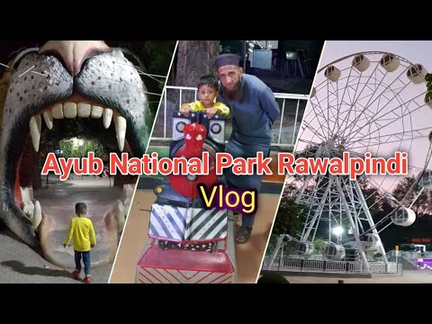 Ayub National Park Rawalpindi | Ayub Park | Father Son Vlog - YouTube