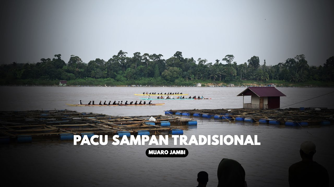 Seru! Pacu Sampan Tradisional Muaro Jambi - YouTube