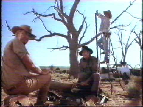 Badedas Peuguot 405 Allied Sale Castlemaine 4x Sony Lunn Poly Nightmare ...