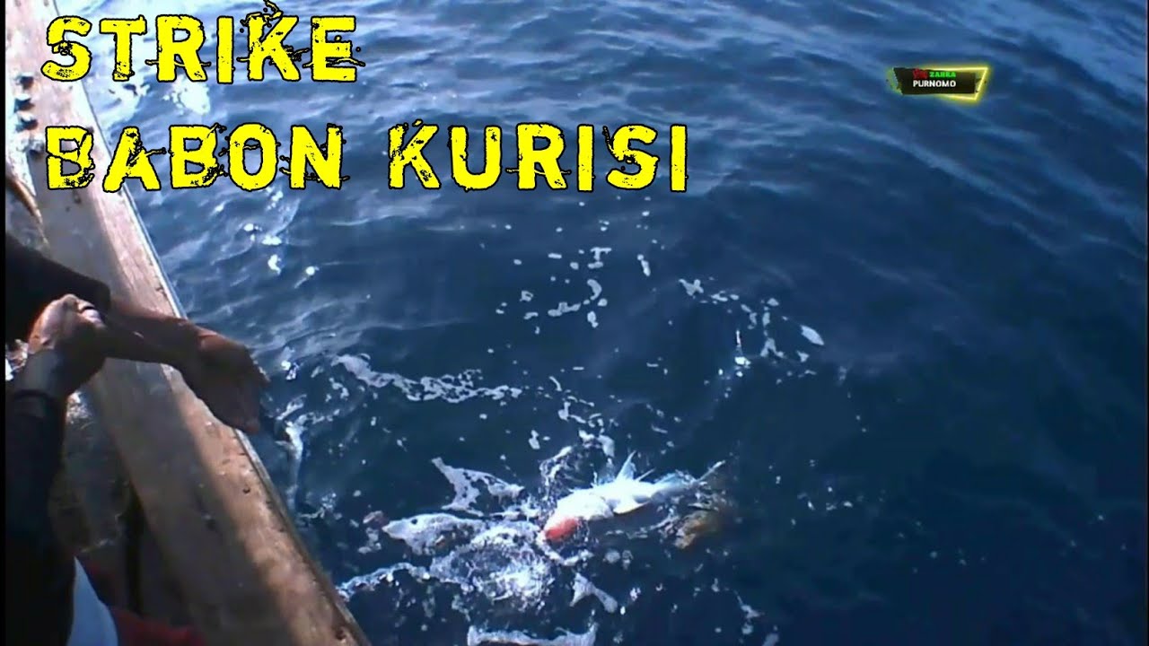 Spot idaman Para Pemancing || Mancing ikan Kurisi anggoli & kerapu ...
