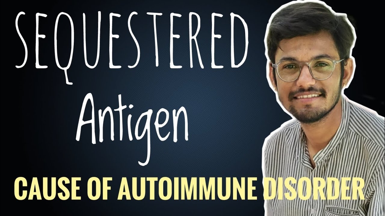 Sequestered Antigen | Autoimmune Disorder | Immunology Topic - YouTube