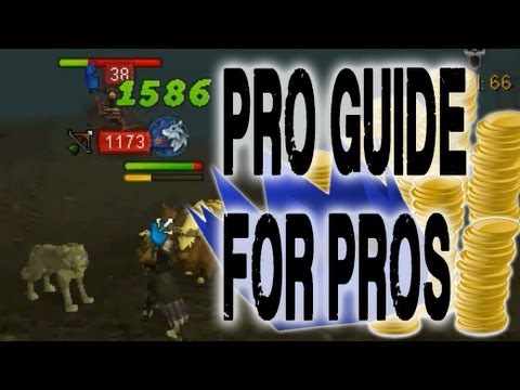 Runescape - Pro Guide for Pros