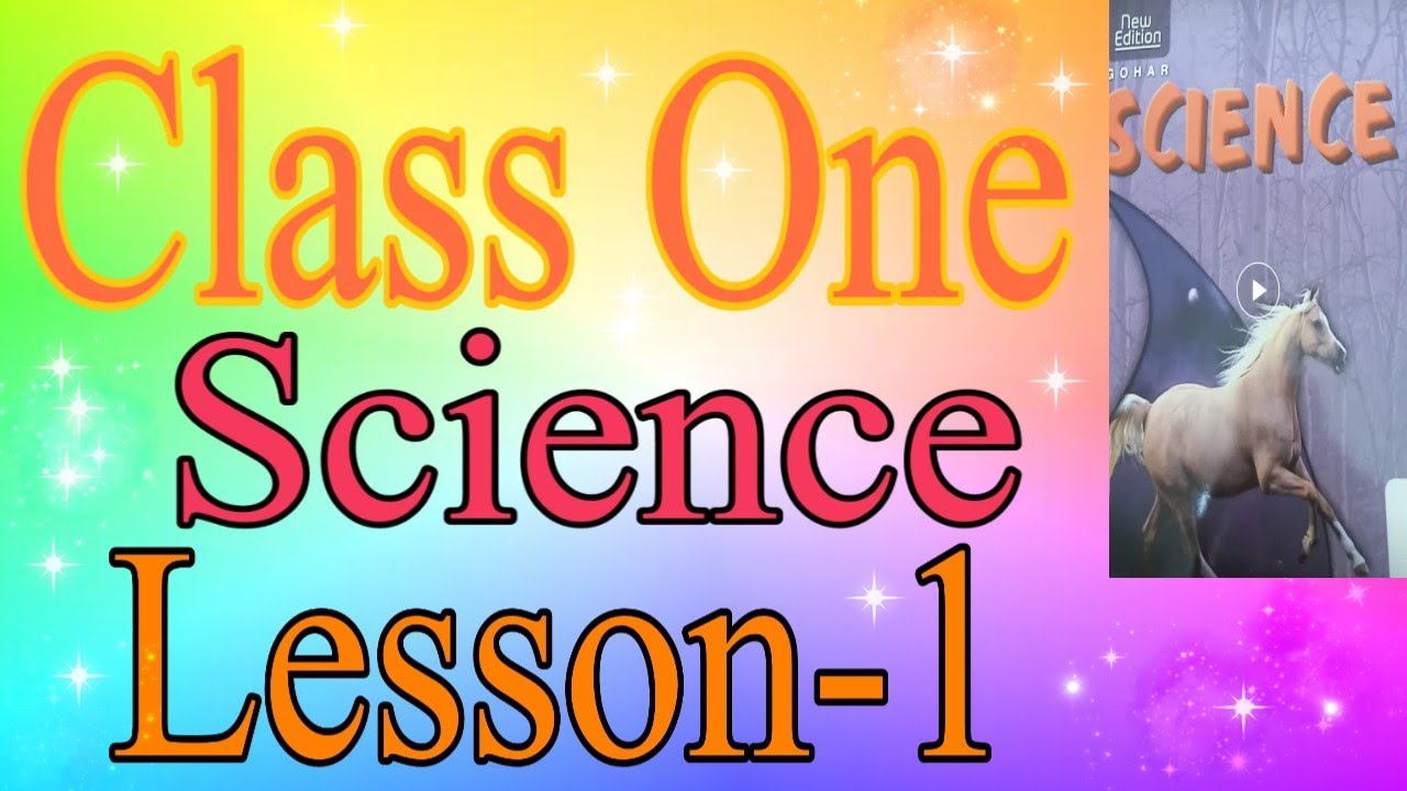 Class One Science Lesson 1|#schoolrachna - YouTube