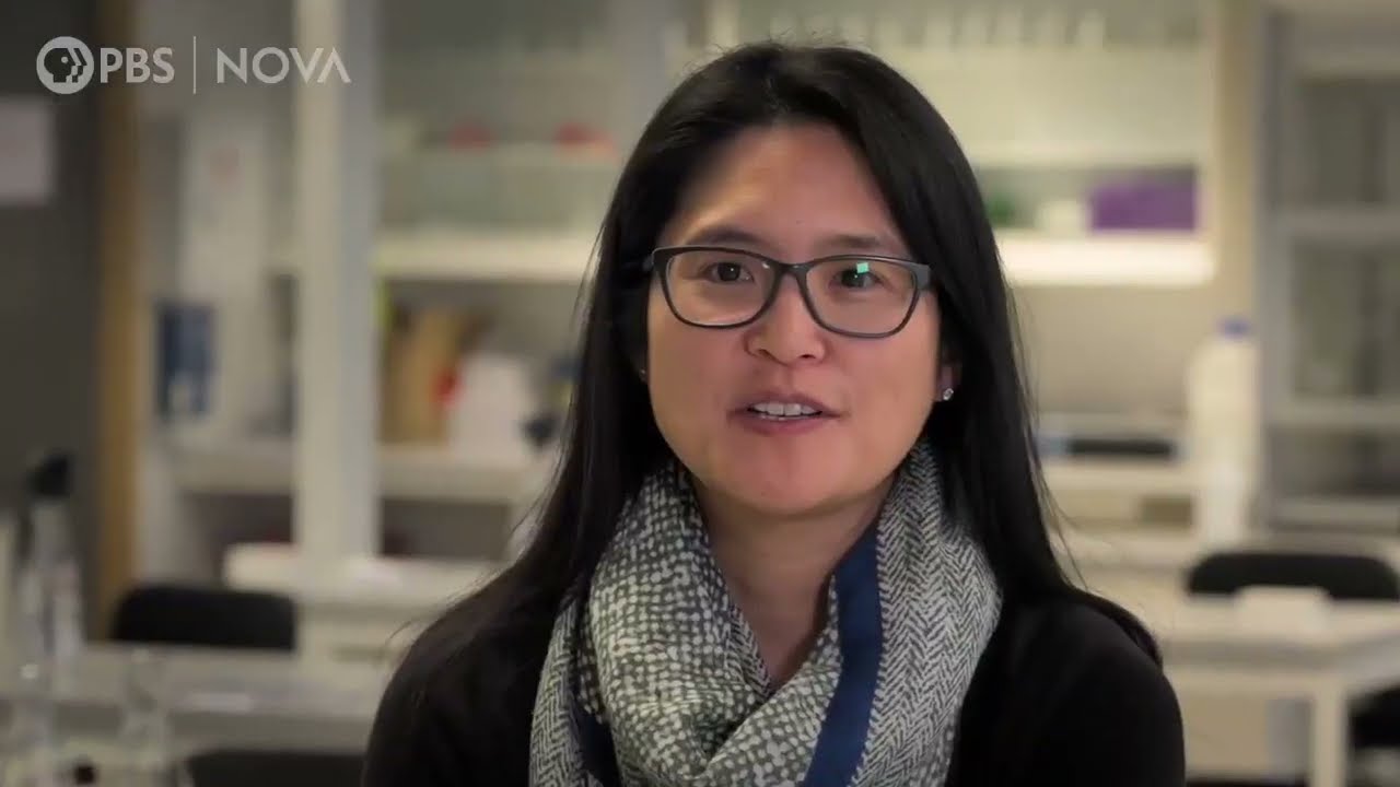 NOVA Season 49 | Preview - YouTube