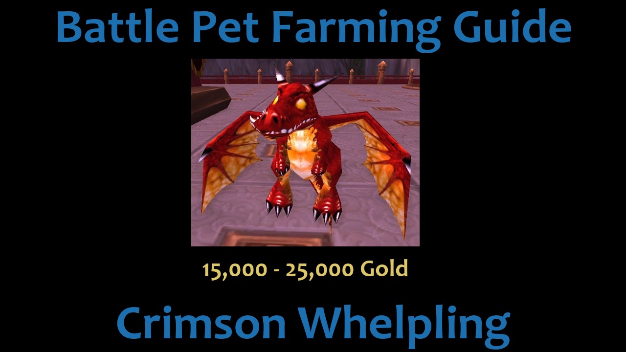 Crimson Whelpling Battle Pet Farming Guide 15-25k - YouTube