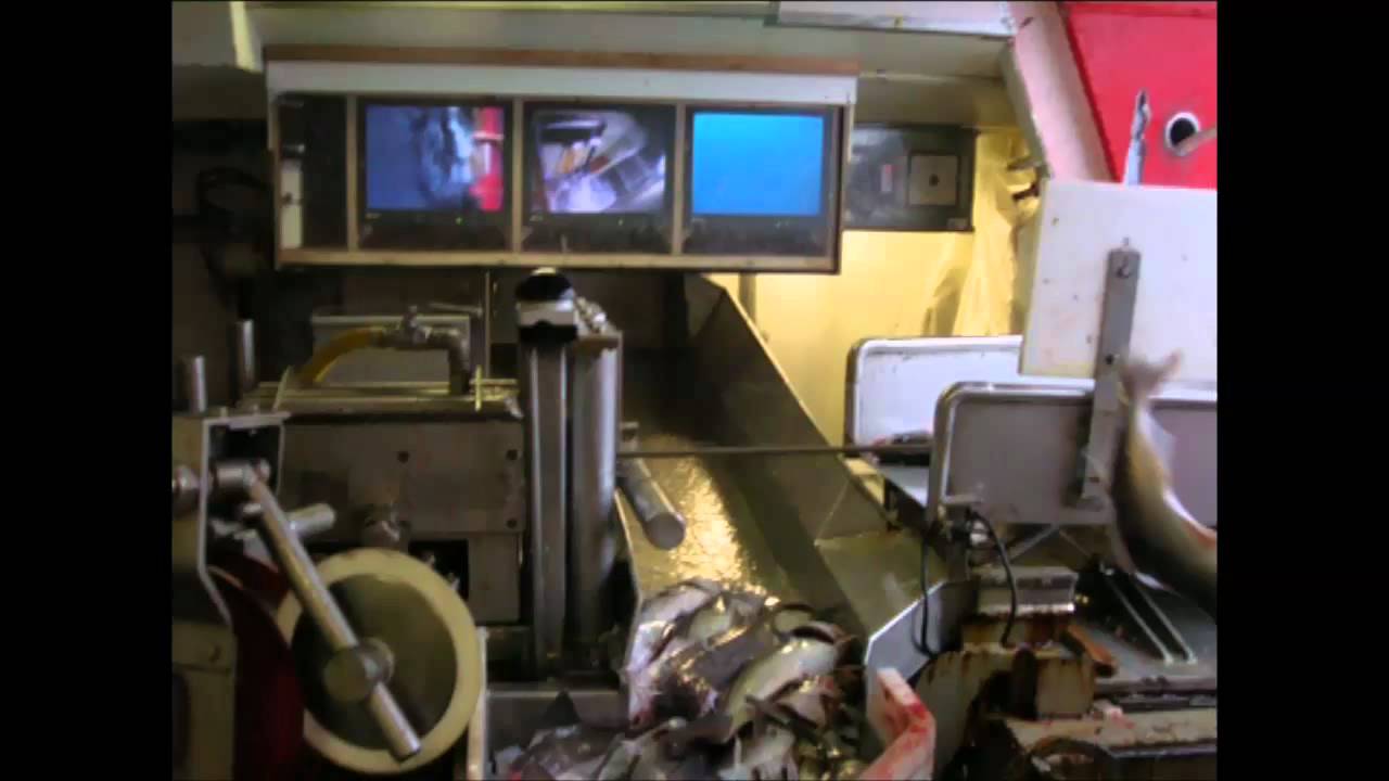 Automatic Longline Hauler System by Delitek Marin - YouTube