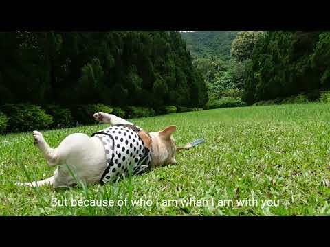 Cypress Lanes , Chiang Mai with Bachor / TLBC GoGo ❤️