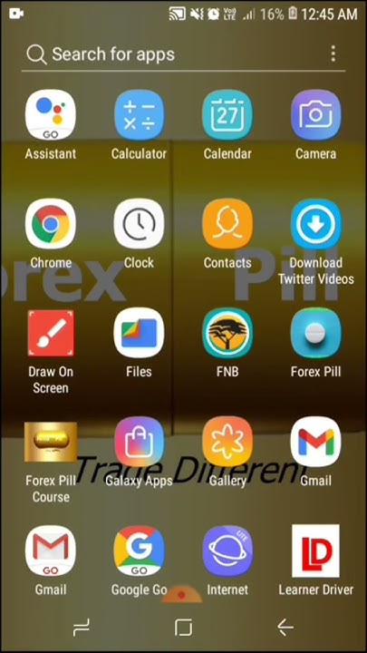 Create You own Auto Trading Robot using your phone MT5 MQL5 part1 #forex #autotradingmt5 # ...